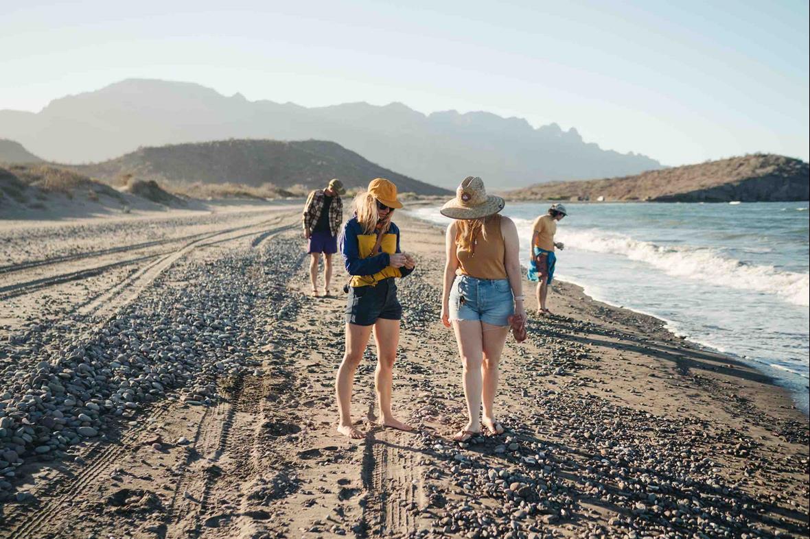 Witnessing the Magic of Baja: Overlanding Adventure on Mexico’s ...